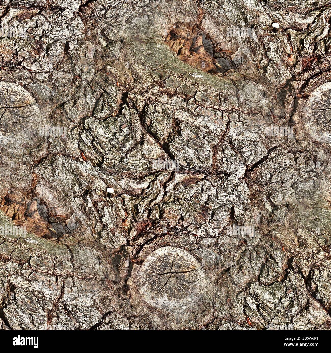 Photo realistic seamless texture pattern of tree bark in high ...