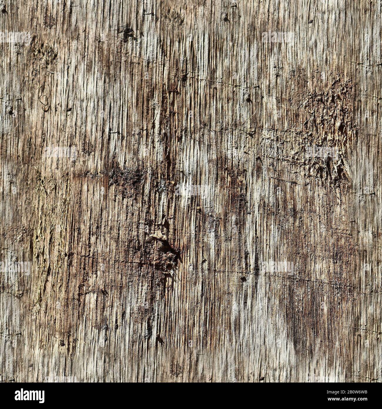 Photo realistic seamless texture pattern of tree bark in high ...
