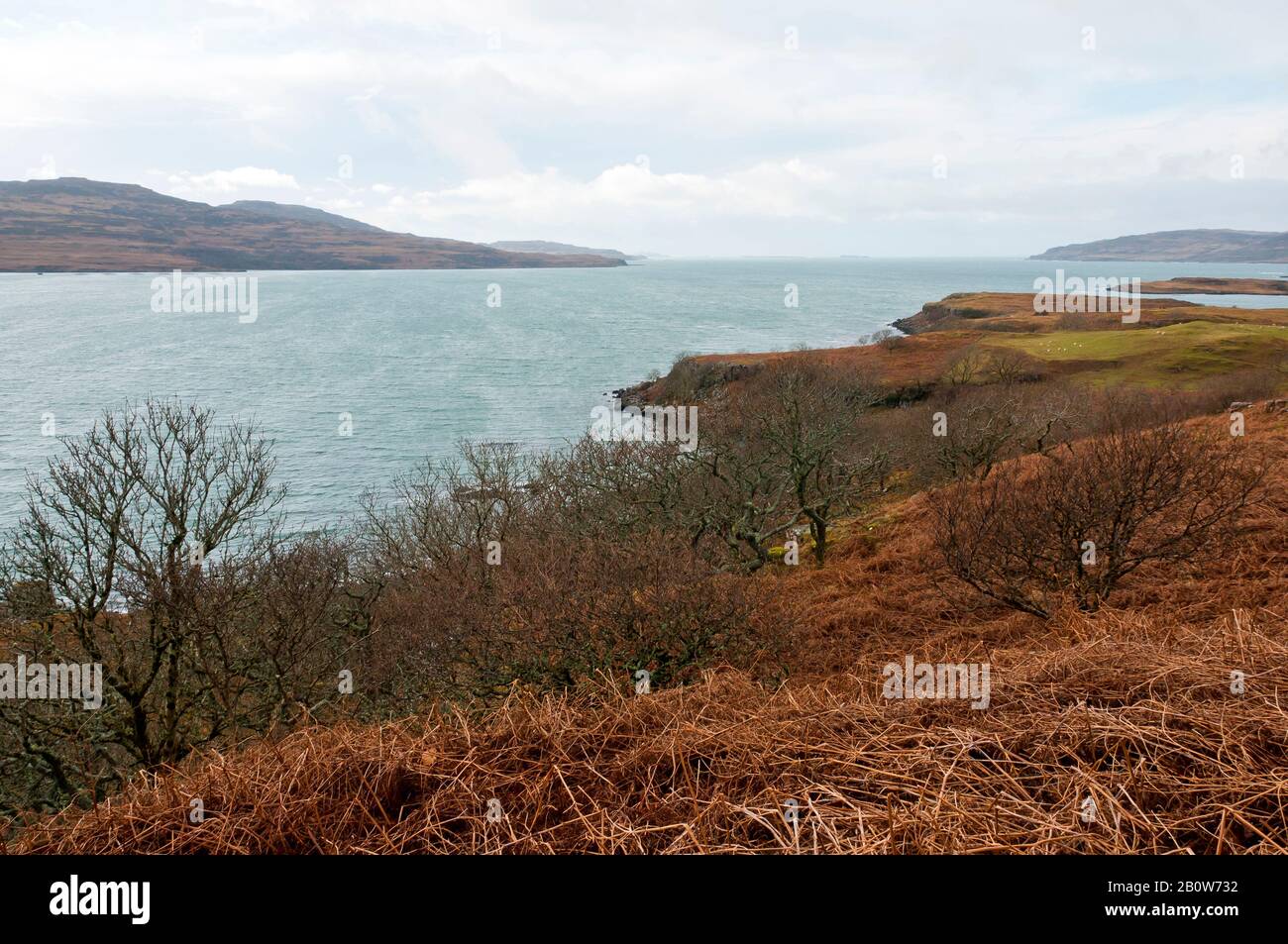 Calgary Bay, beach, Isle of Mull, Argyll, Scotland Stock Photo - Alamy