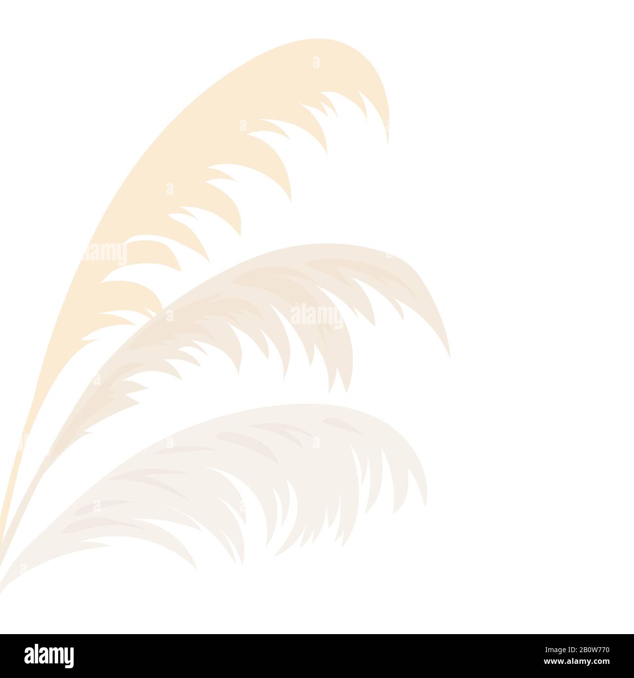 Silver Pampas grass Card template frame on the left with copy space ...