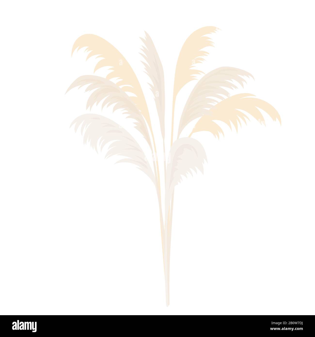 Silver Pampas grass sheaf. Card template. copy space. Vector ...