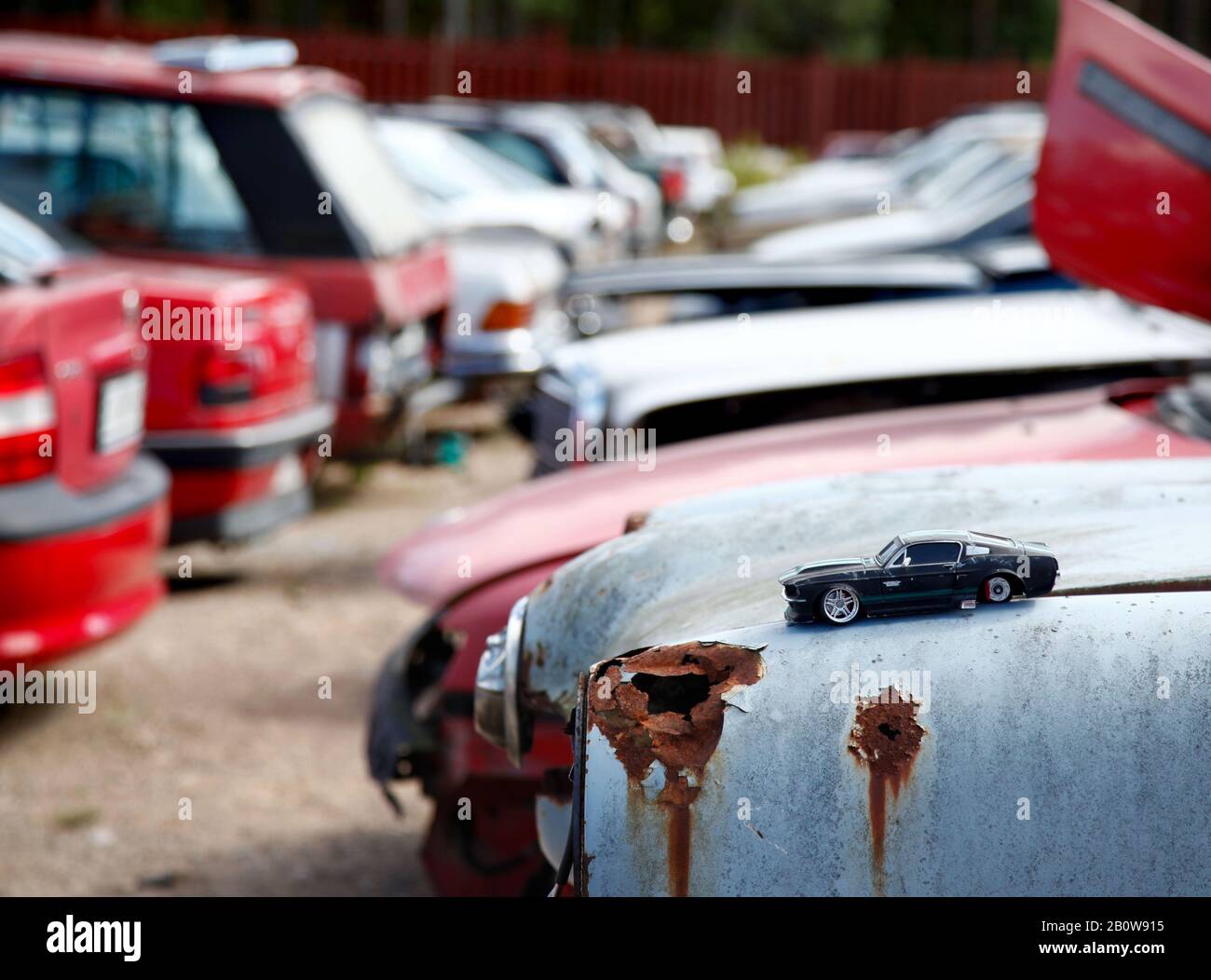 Scrap cars on a scrapyard.Photo Jeppe Gustafsson Stock Photo - Alamy
