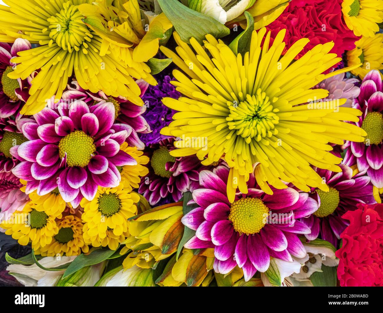 Colorful bunch of flowers hi-res stock photography and images - Alamy