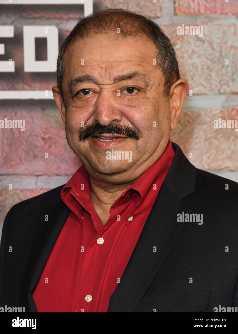 20 February 2020 - Los Angeles, California - Alejandro Patino. Netflix ...