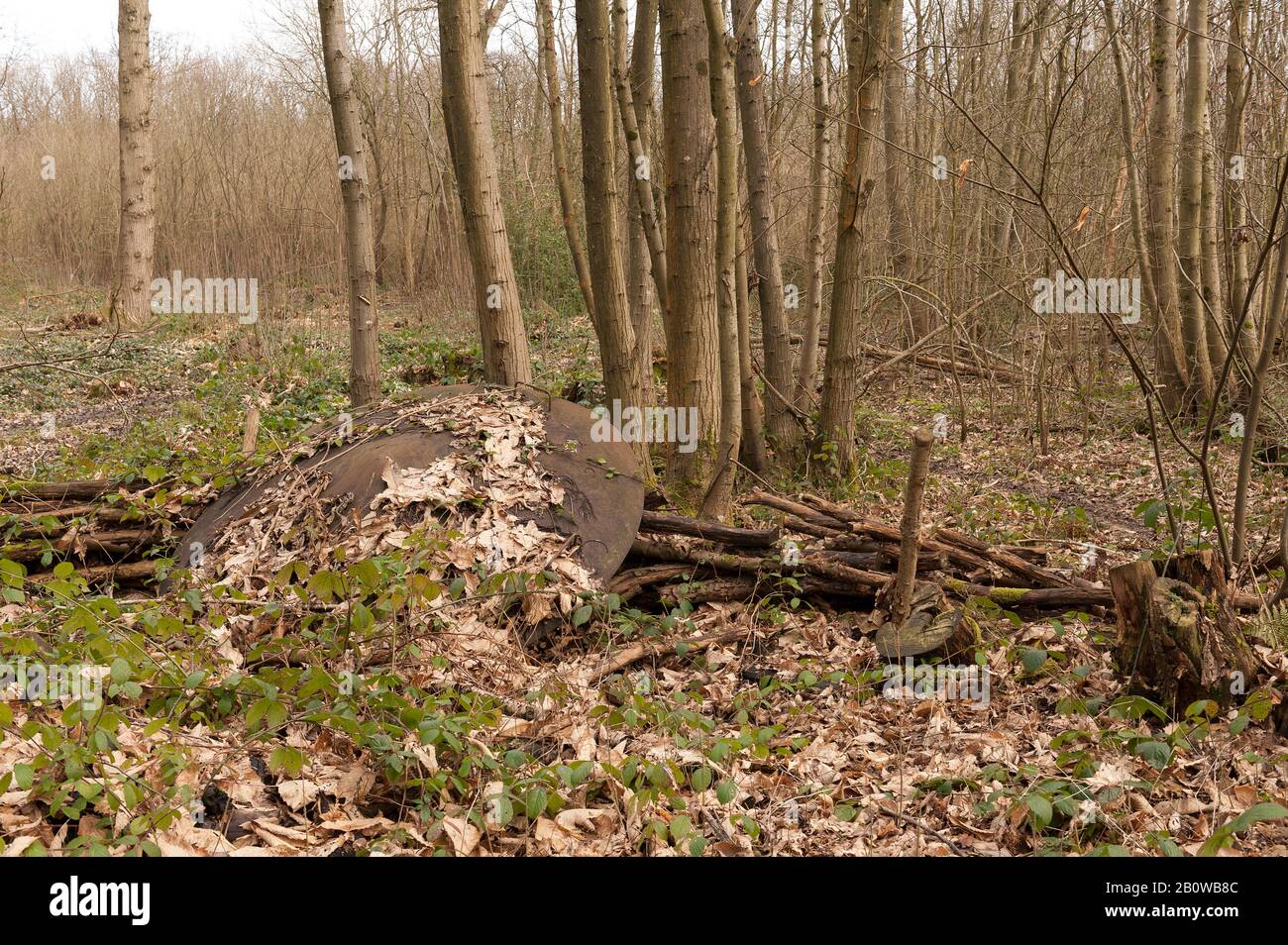 Discarded and rusting 8' steel woodland wood kiln for making charcoal ...