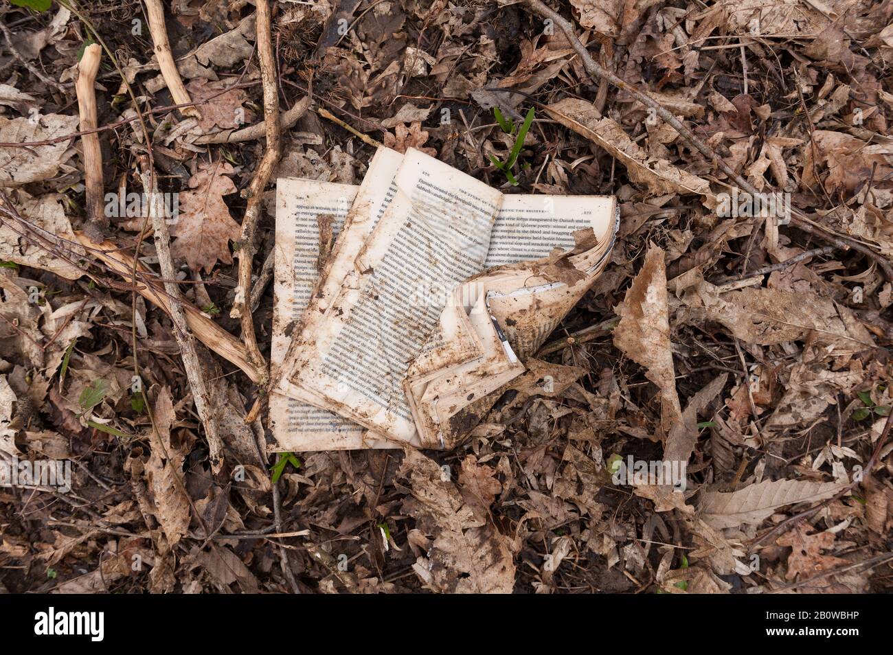 Sodden hard spine reading book documenting Jewish History discarded on ...