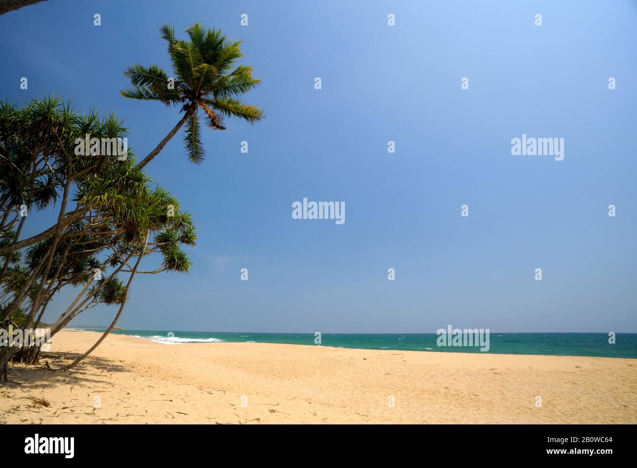 Sri Lanka, Tangalle beach Stock Photo - Alamy