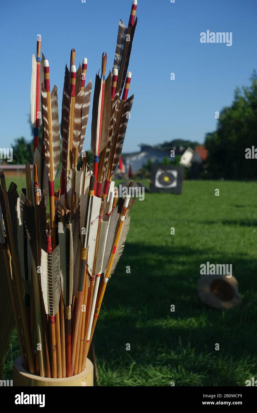 Arrow plumage hi-res stock photography and images - Alamy