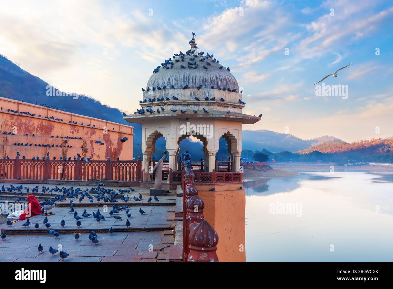 Lady feeding pigeons hi-res stock photography and images - Alamy