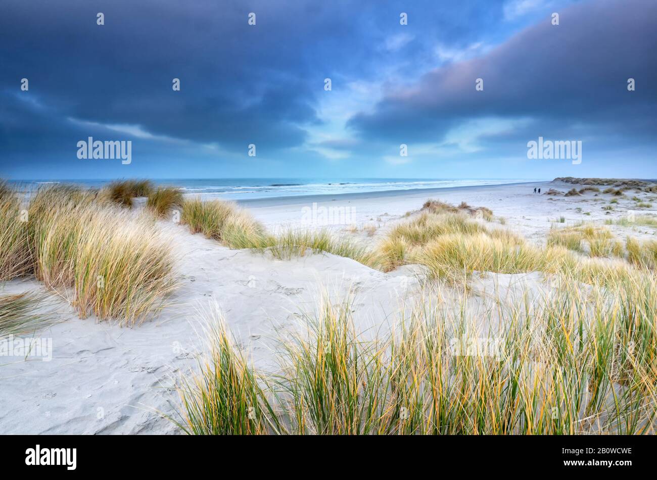 View on north sea from sand dunes Stock Photo - Alamy