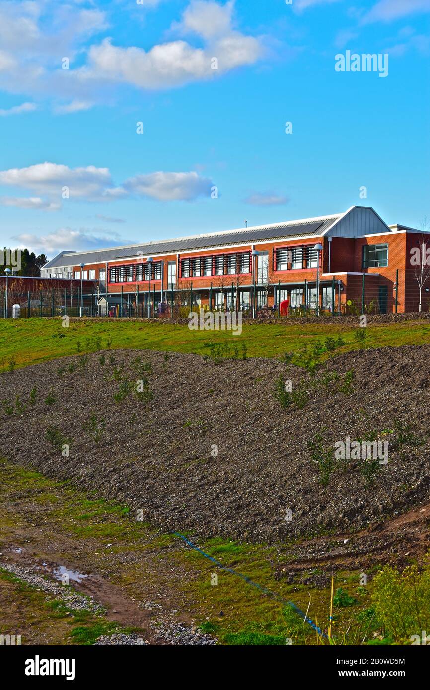 Coety primary hi-res stock photography and images - Alamy