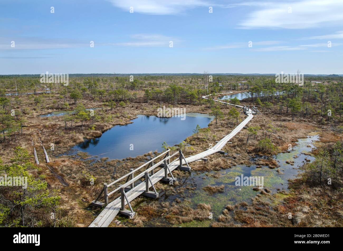Wooden trail over swamp in Great Kemeri Bog Boardwalk, Latvia, Europe ...