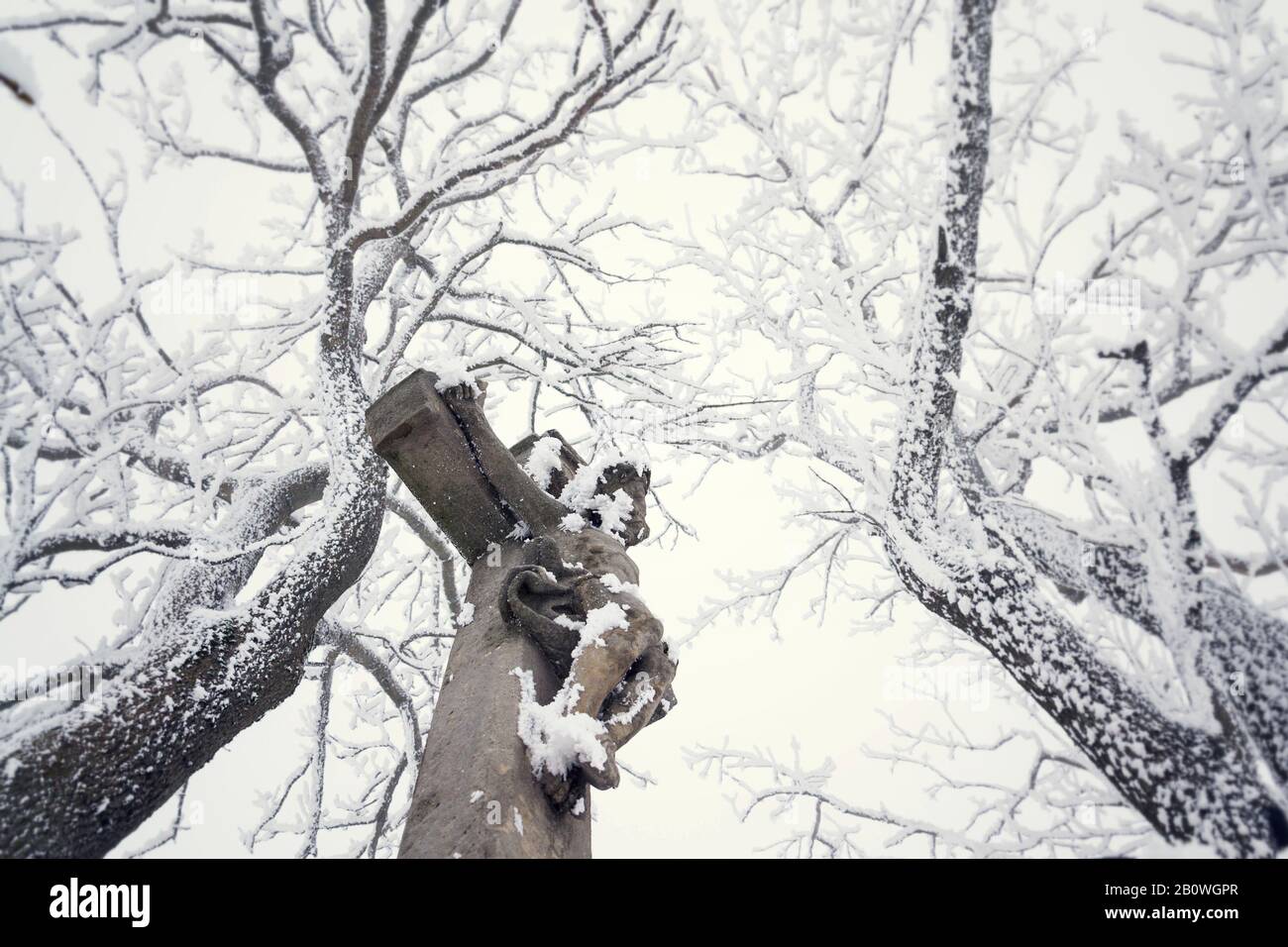 Beautiful Jesus Christ crucifix statue cover with snow, tree in ...