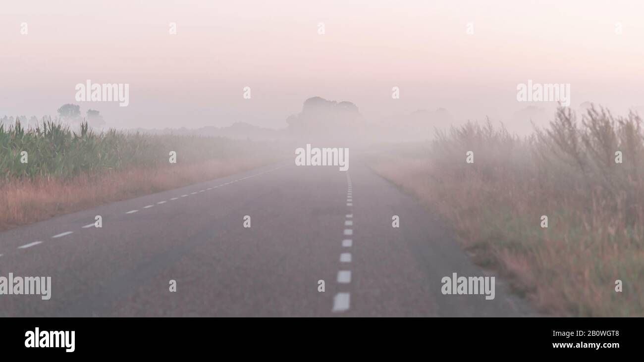 Road in misty rural landscape during spring Stock Photo - Alamy