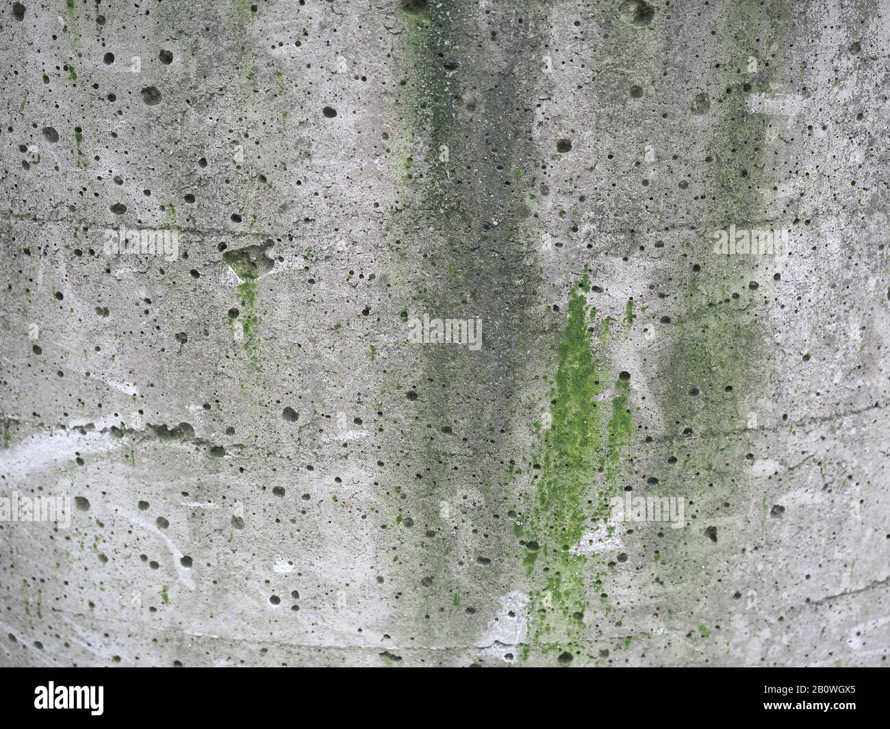 weathered grey concrete with moss texture useful as a background Stock ...
