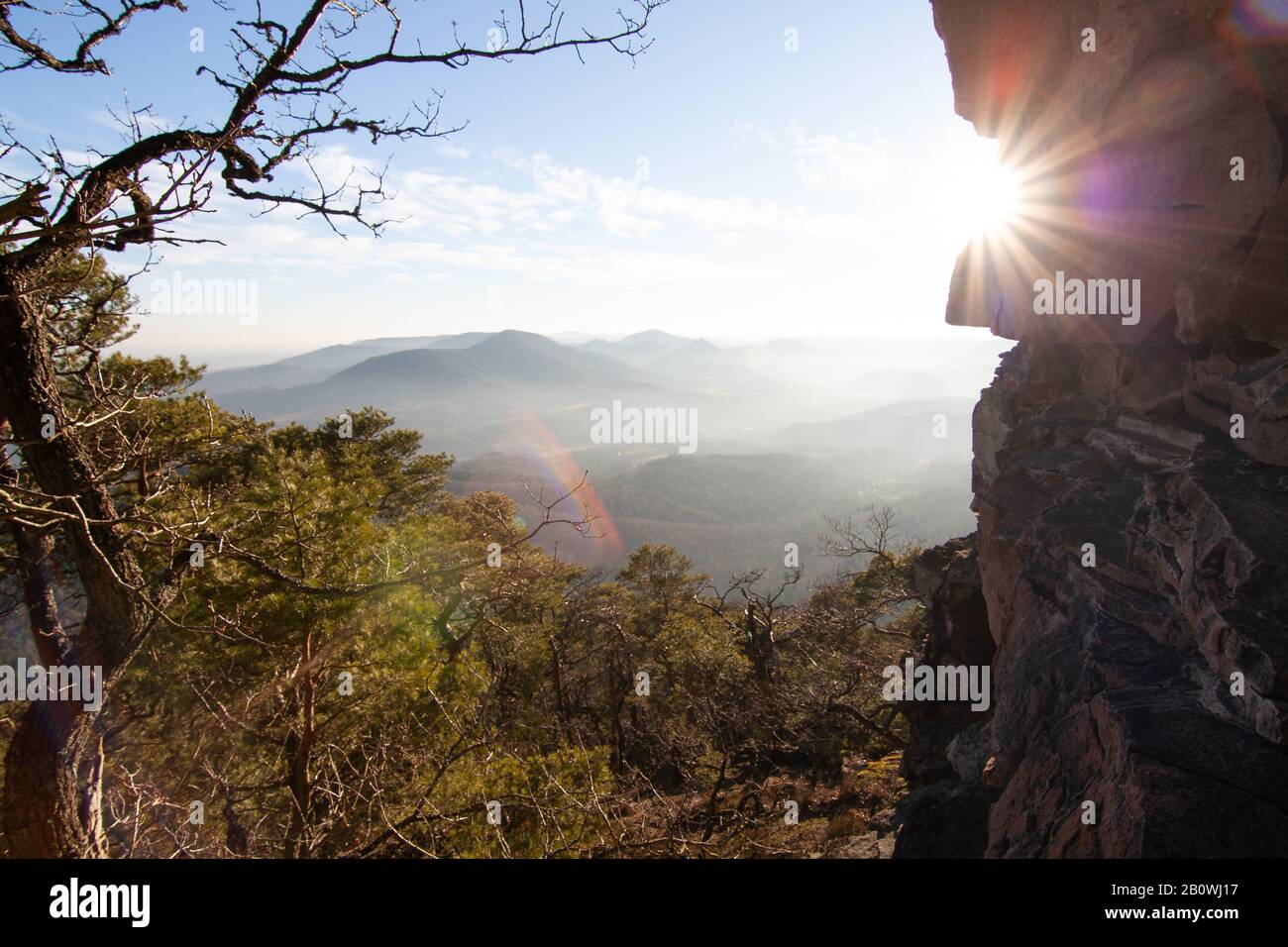Huge rock in a pine forest Stock Photo - Alamy
