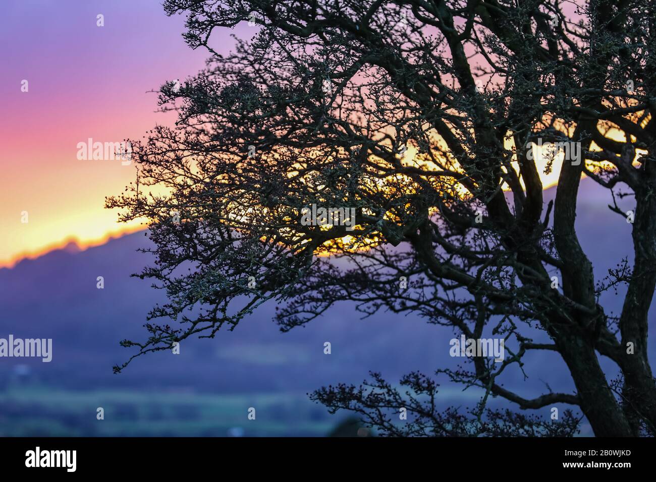 Beautiful winter picture hi-res stock photography and images - Alamy