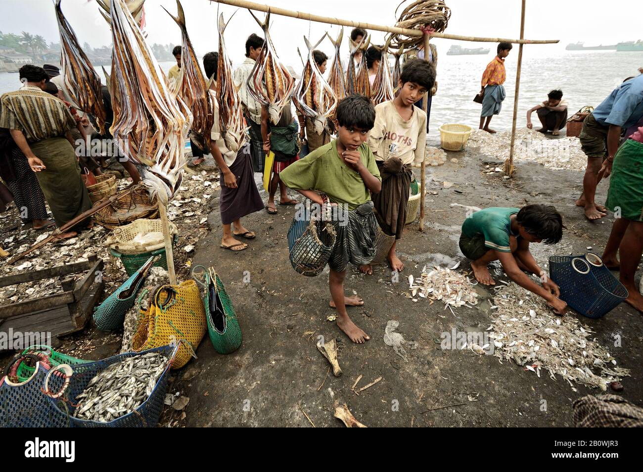 Children and hanging fish at Sittwe fish market, Myanmar Stock Photo ...