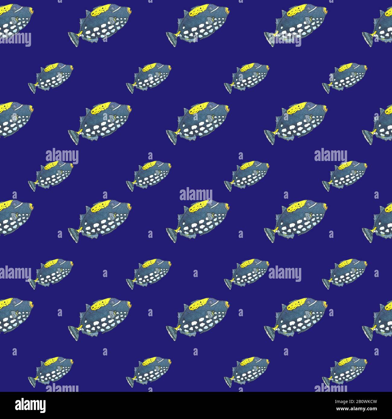 Seamless pattern of clown trigger fish. Hand drawing sketch on blue ...