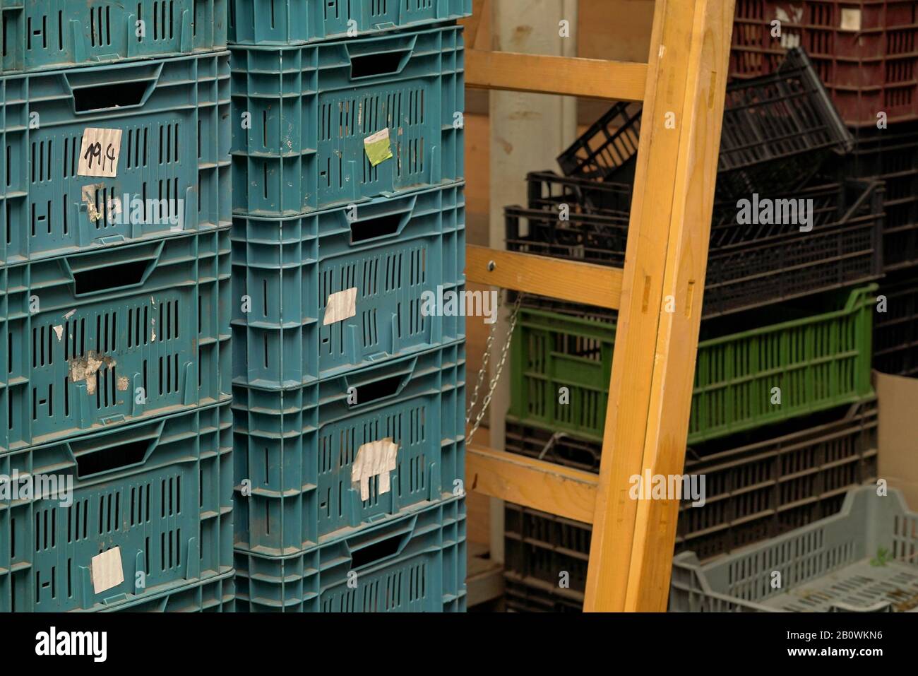 Plastic boxes stacked in warehouse room, wooden ladder and more ...
