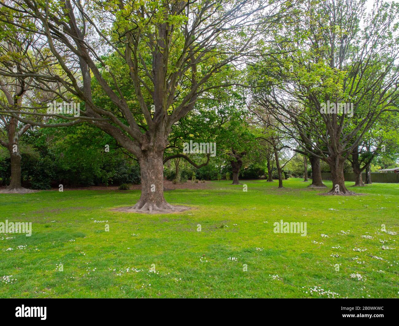 Public park grass trees hi-res stock photography and images - Alamy