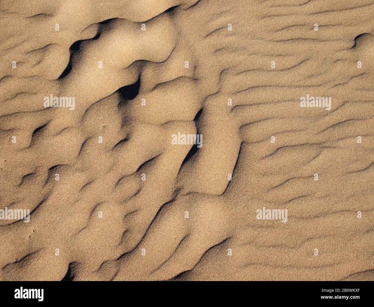 Fuzzy structures hi-res stock photography and images - Alamy