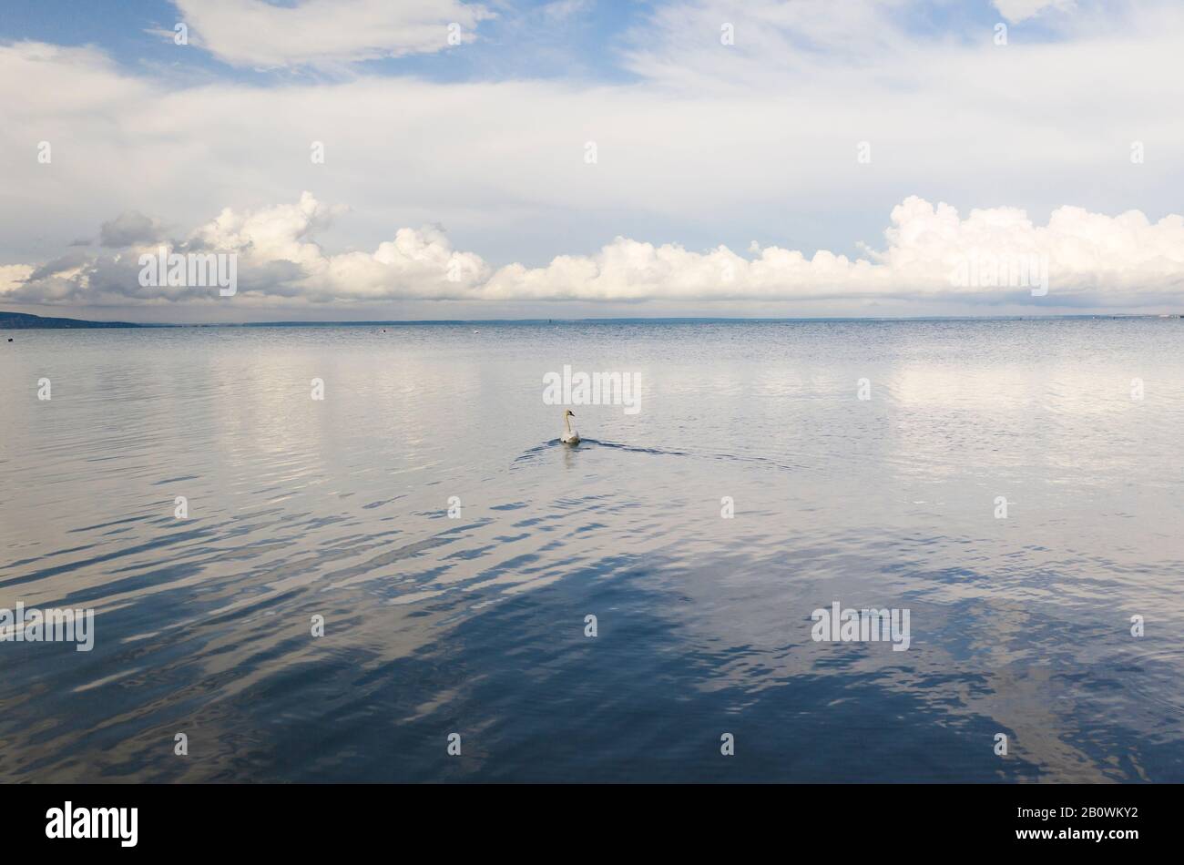 Tran background hi-res stock photography and images - Alamy