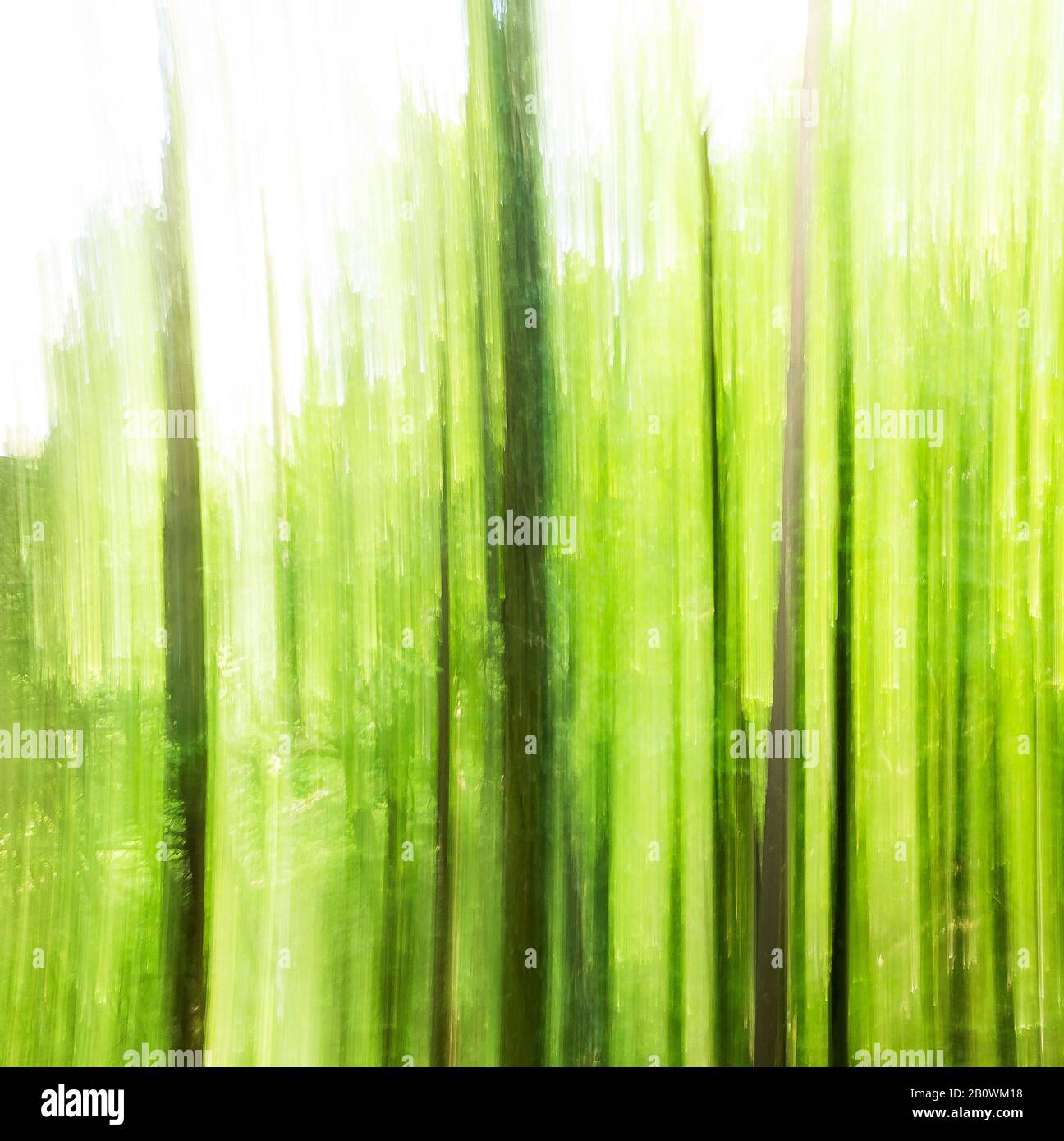 Green out of focus Stock Photo - Alamy