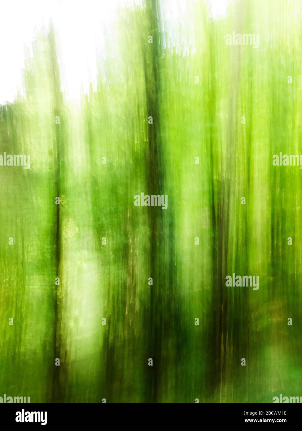 Green out of focus Stock Photo - Alamy