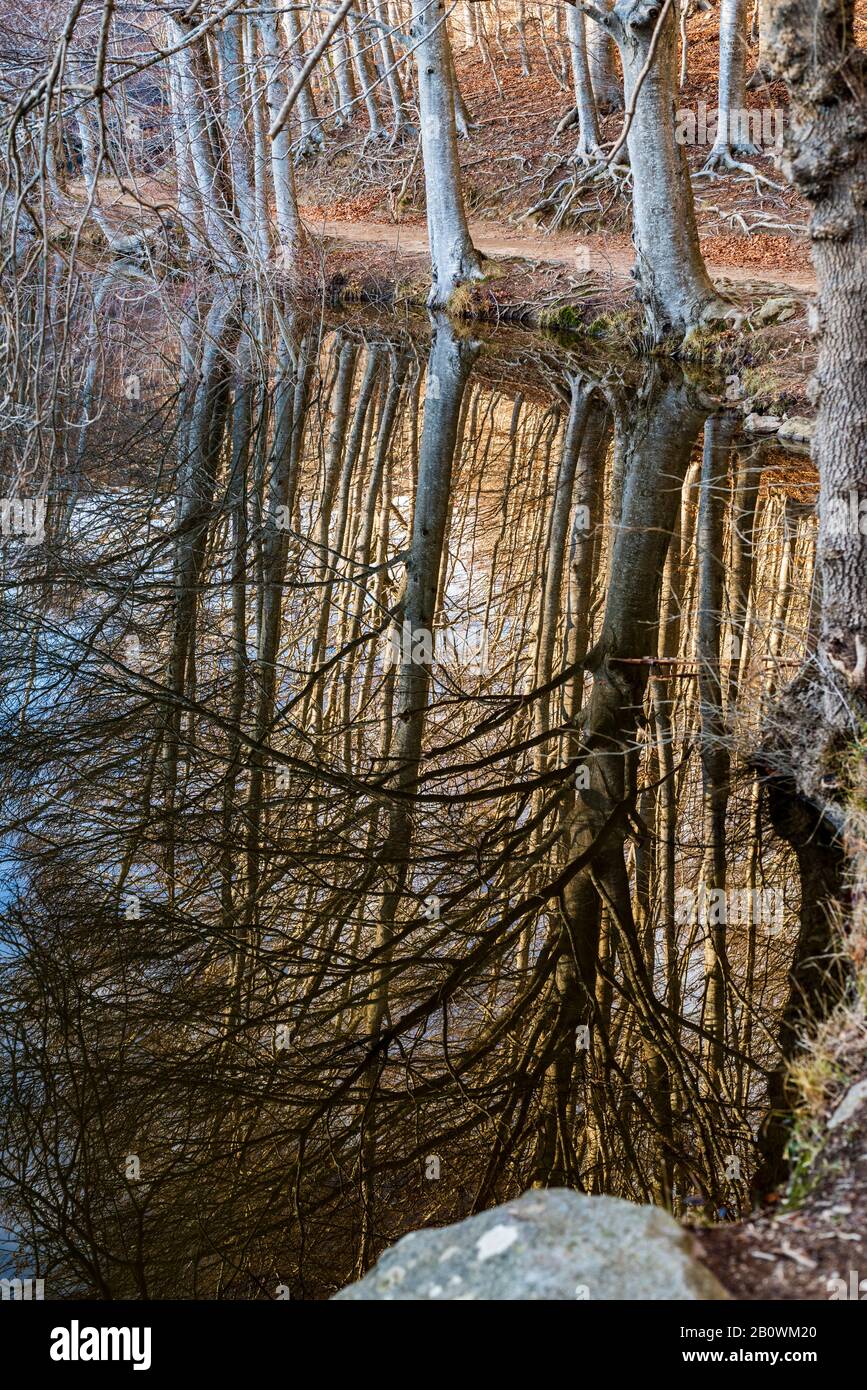 Natural Park of Montseny, Barcelona, Spain, Europe Stock Photo - Alamy