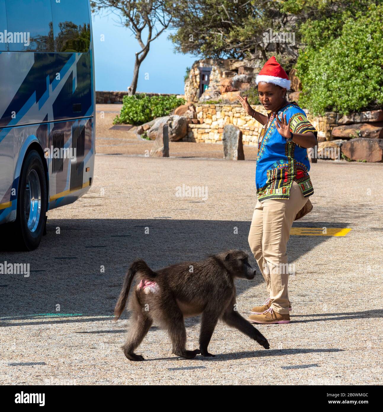 Cape Point, South Africa. Dec 2019. Woman tourist holds her hands in ...