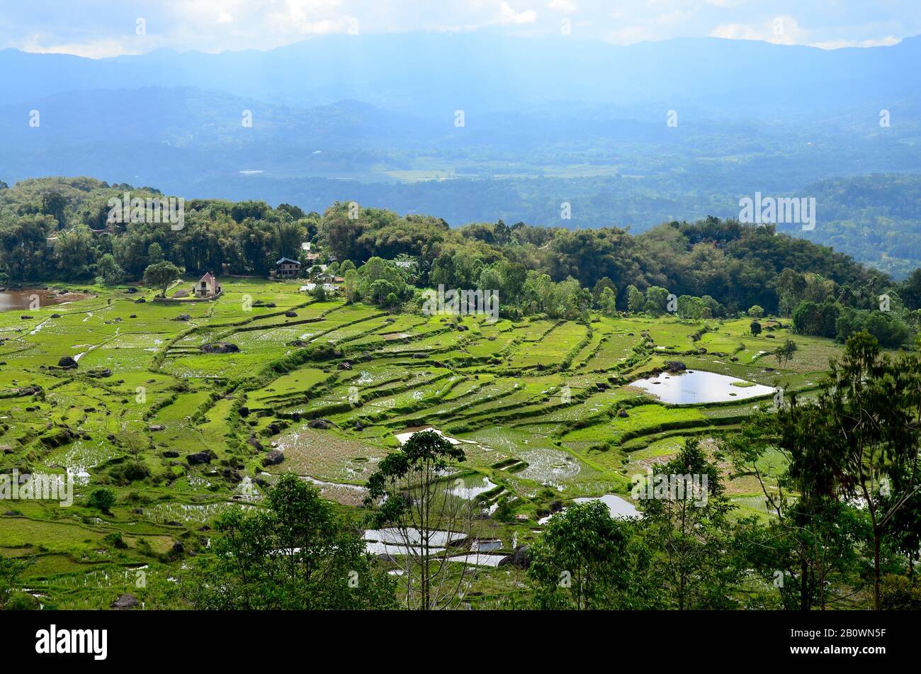 Terrace farming southeast asia hi-res stock photography and images - Alamy