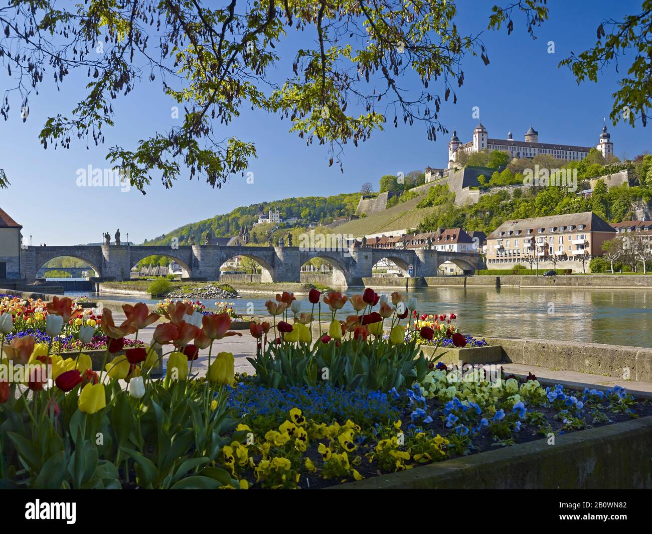 Old main bridge in wurzburg with the marienberg fortress hi-res stock ...
