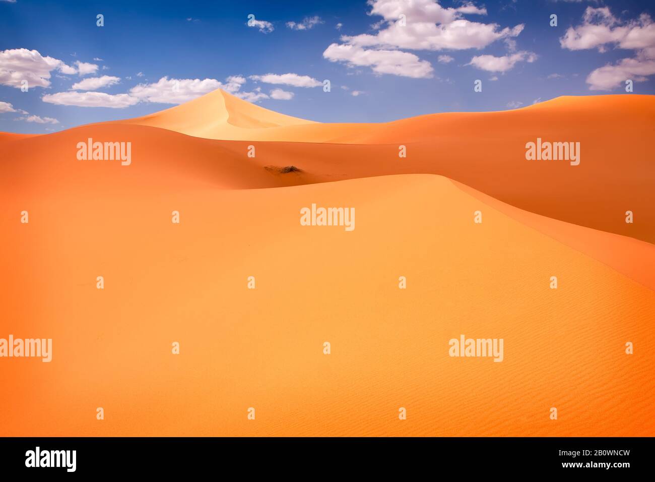 Color in the Sahara desert in Morocco Stock Photo - Alamy