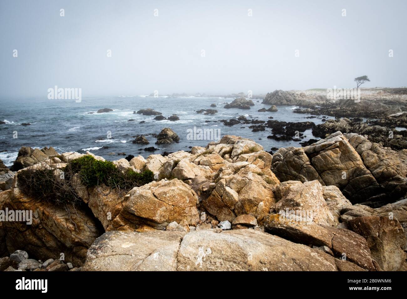 pacific Ocean View in Pacific Grove Stock Photo - Alamy