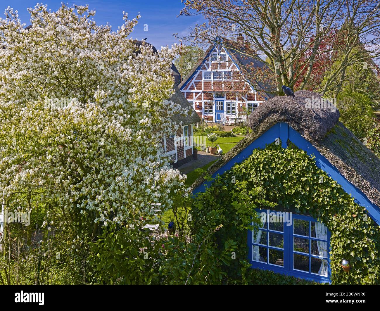 Timbered country house hi-res stock photography and images - Alamy
