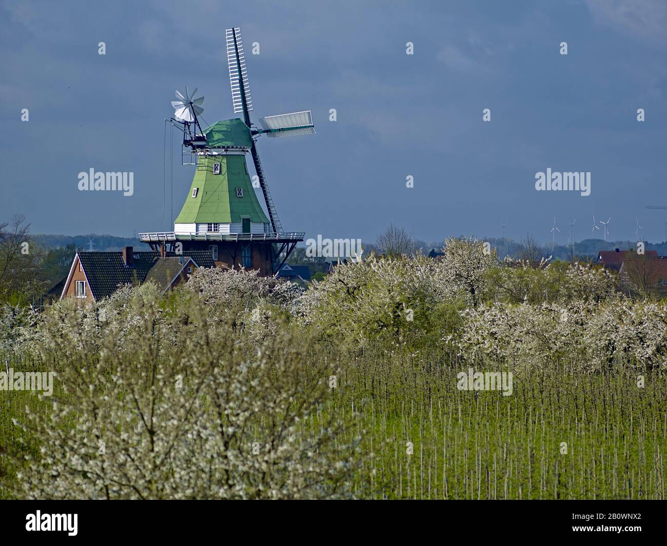 Altes land stade hi-res stock photography and images - Alamy