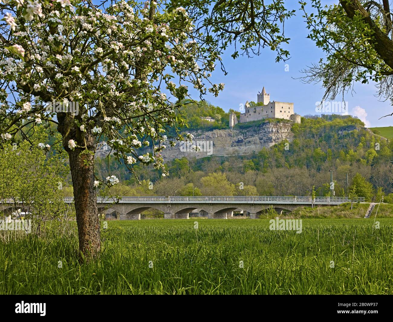Castle ruins rudelsburg and saaleck hi-res stock photography and images ...
