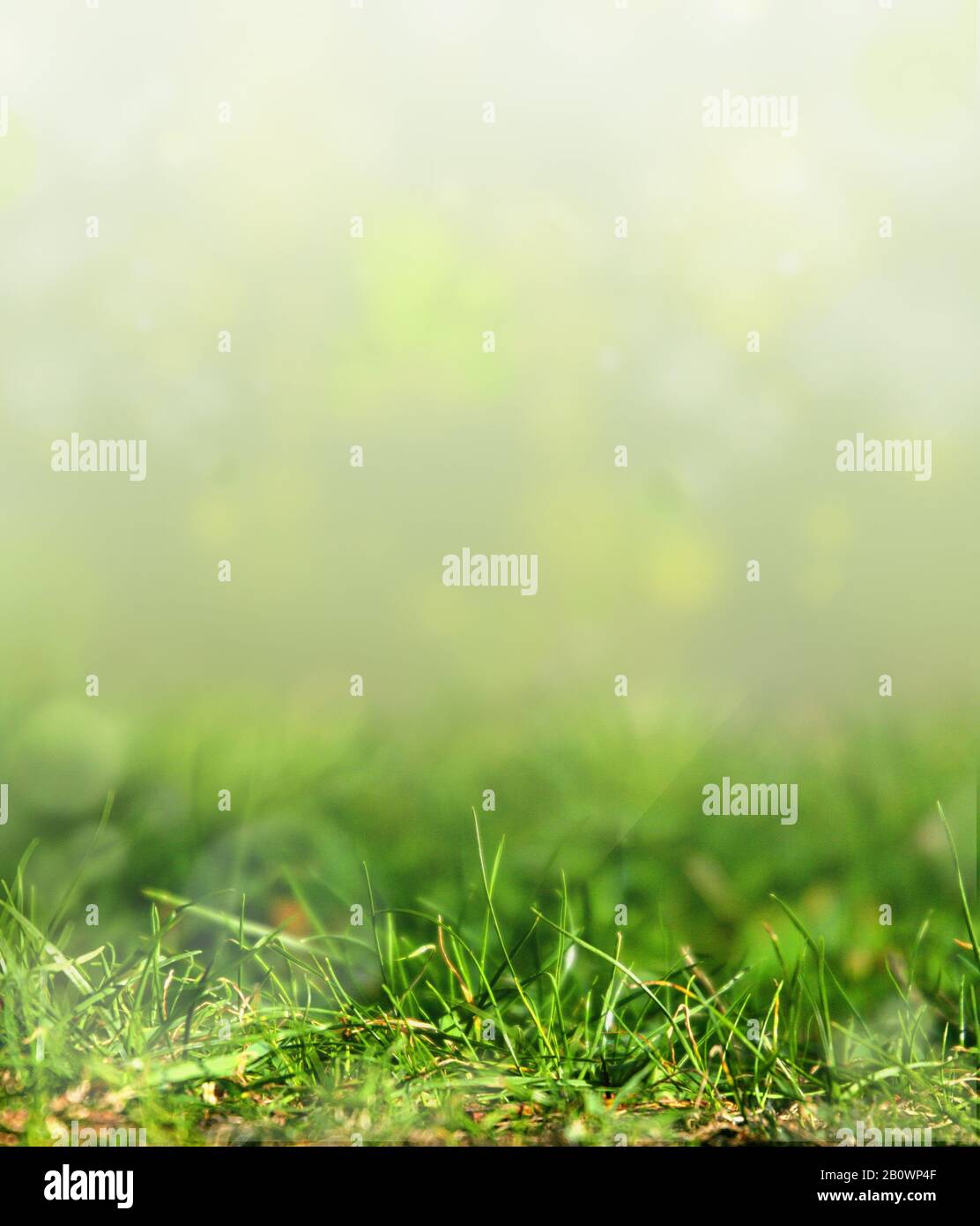 Abstract art natural spring hi-res stock photography and images - Alamy