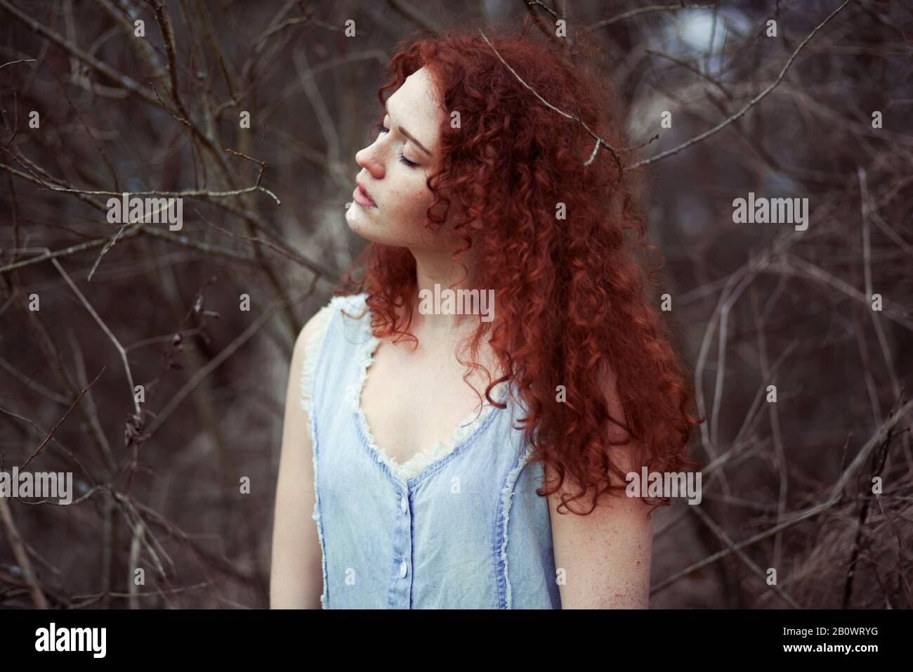Woman with long red hair between branches, portrait Stock Photo - Alamy