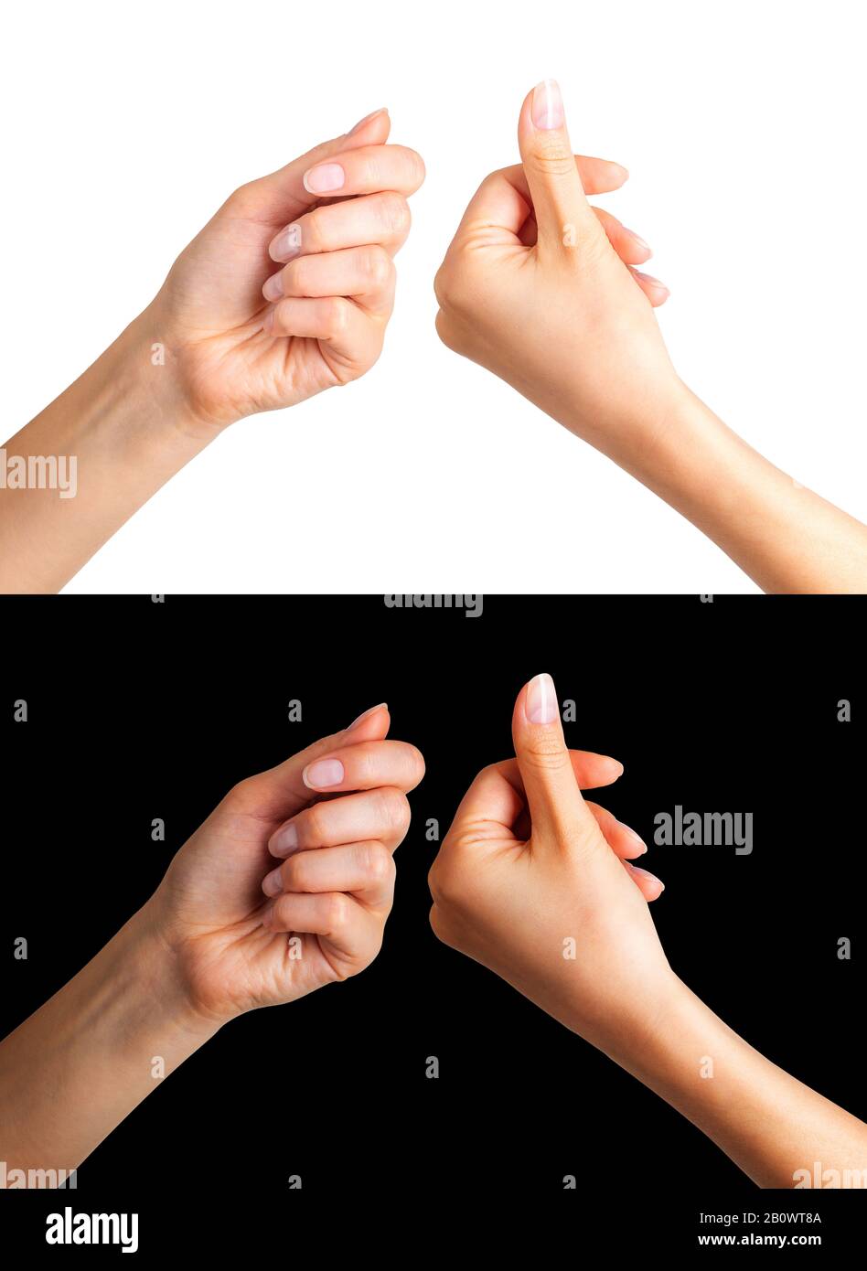 Left Hand Holding Something