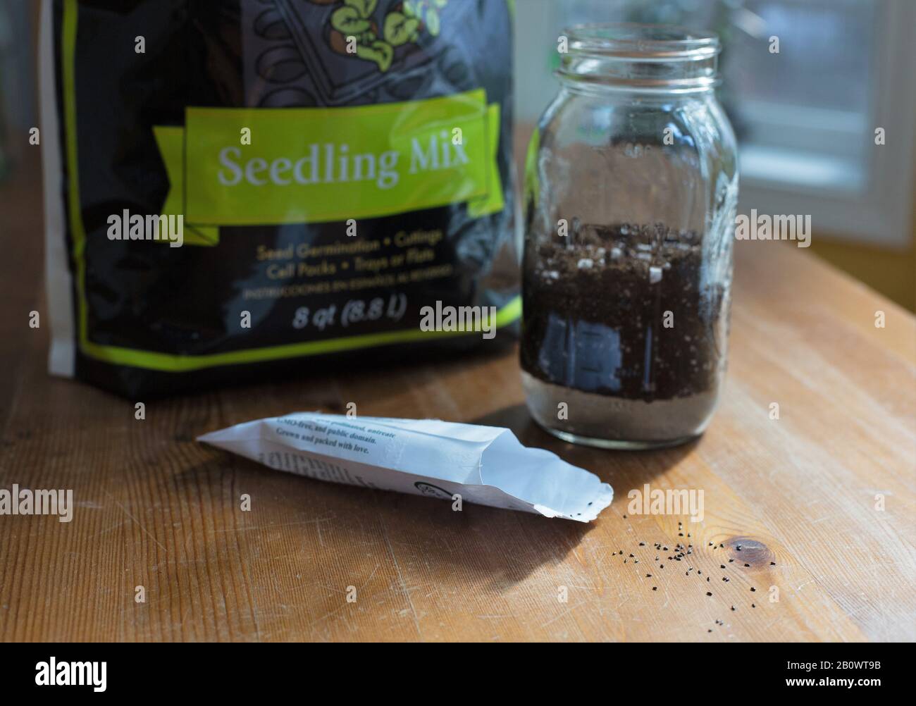 Seedling in jar hi-res stock photography and images - Alamy