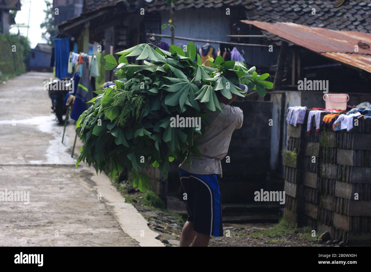 Javanese people hi-res stock photography and images - Alamy