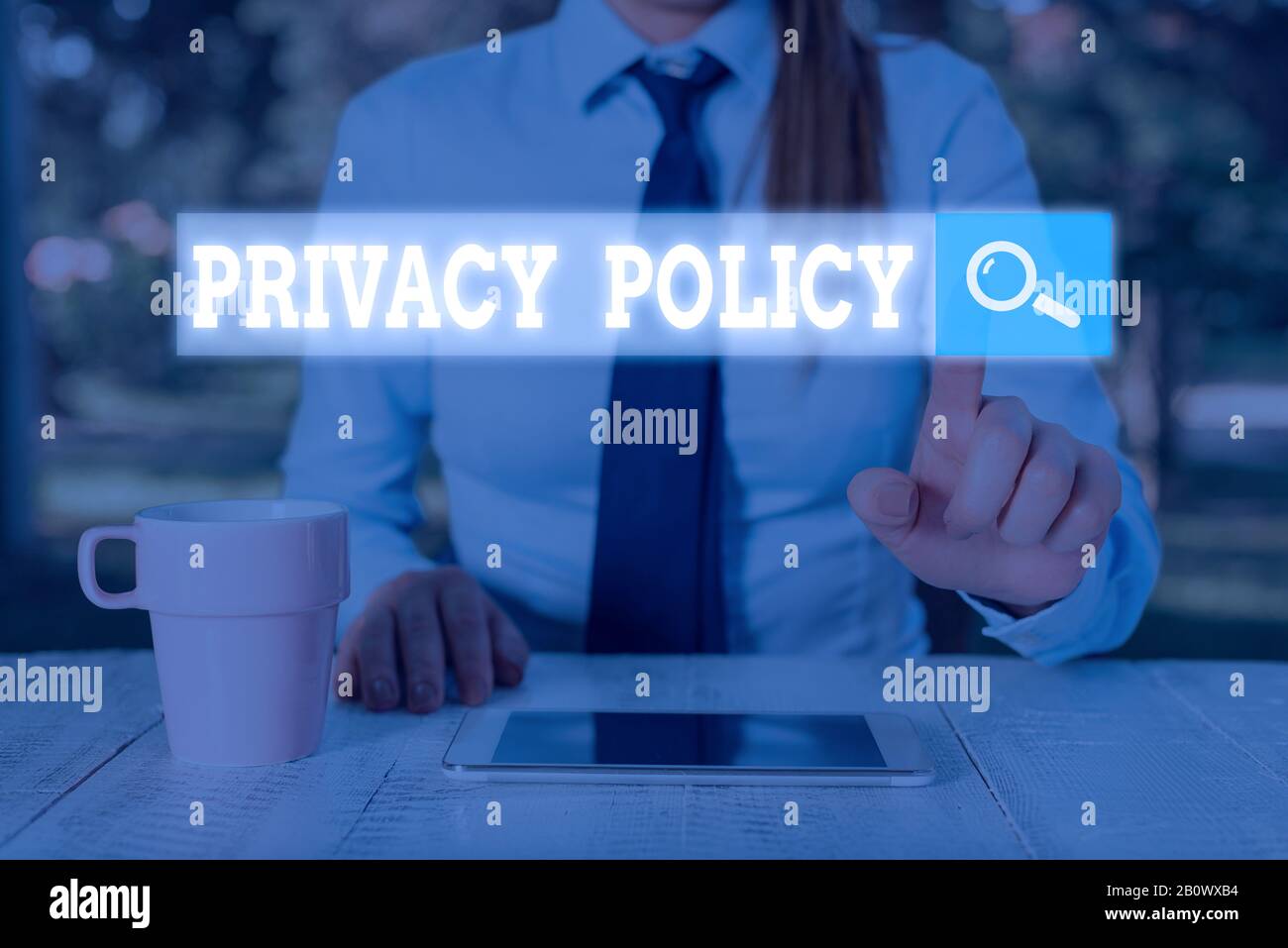 Conceptual hand writing showing Privacy Policy. Concept meaning ...