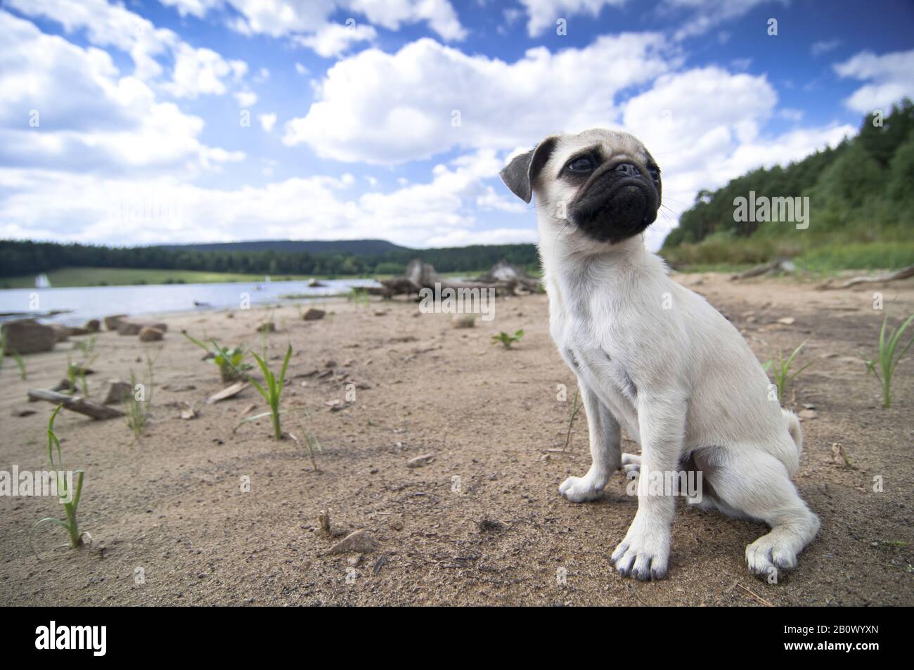 Sitting at lake bank hi-res stock photography and images - Alamy