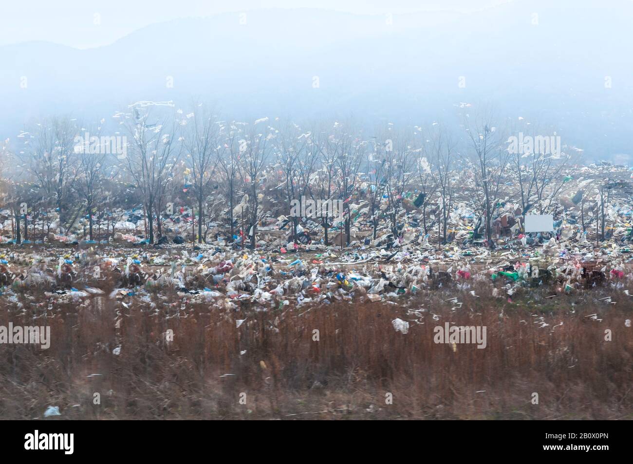 Garbage on tree hi-res stock photography and images - Alamy