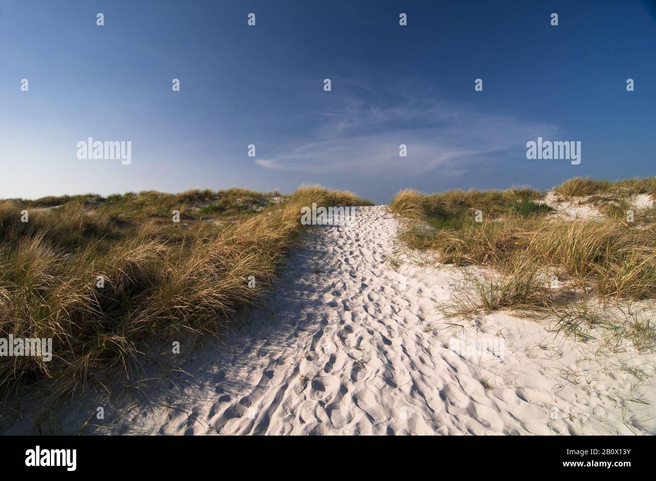 Dune On The Beach In Prerow High Resolution Stock Photography and ...