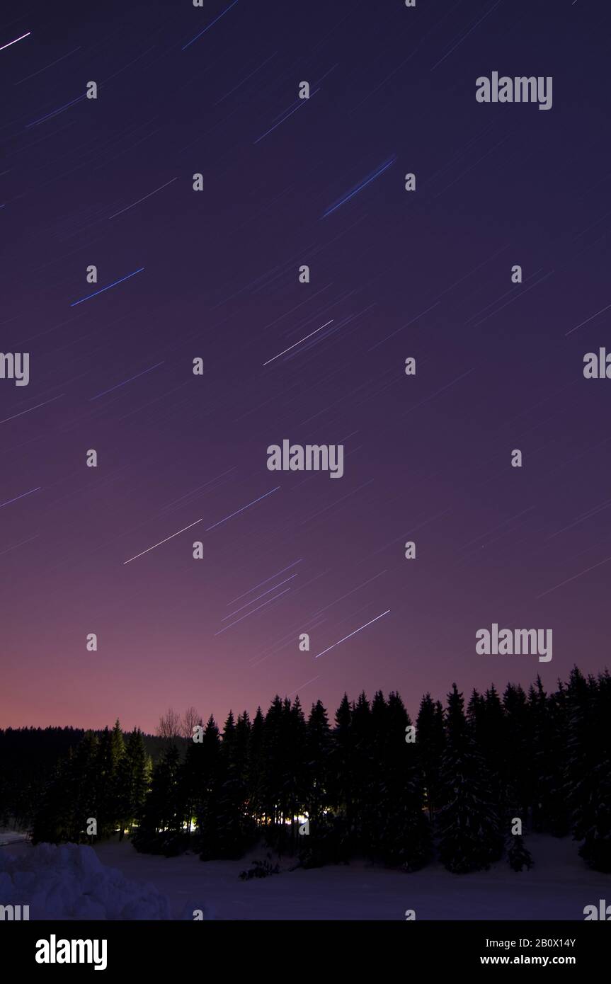 Night scene in the woods hi-res stock photography and images - Alamy