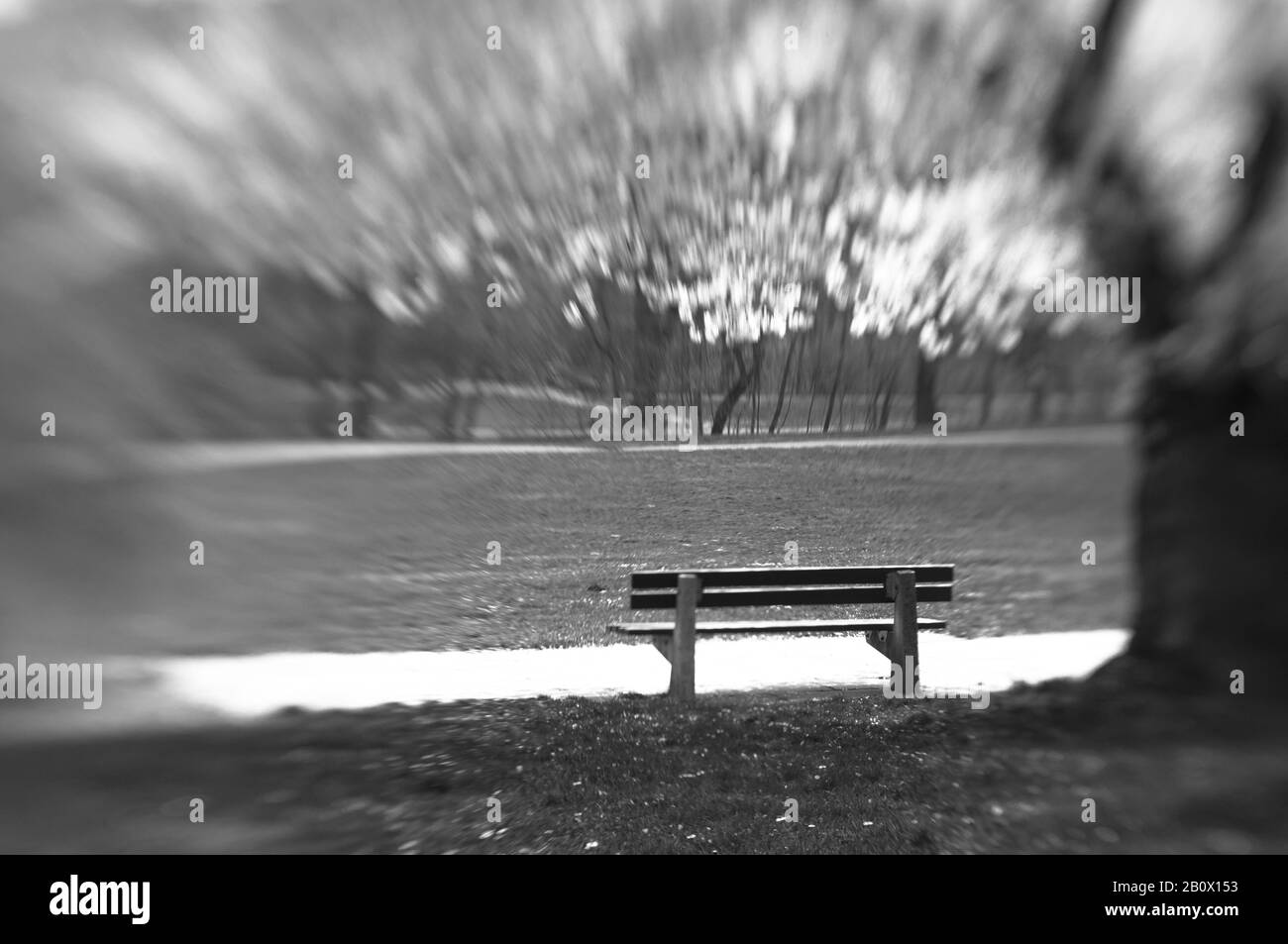 lonely park bench Stock Photo - Alamy