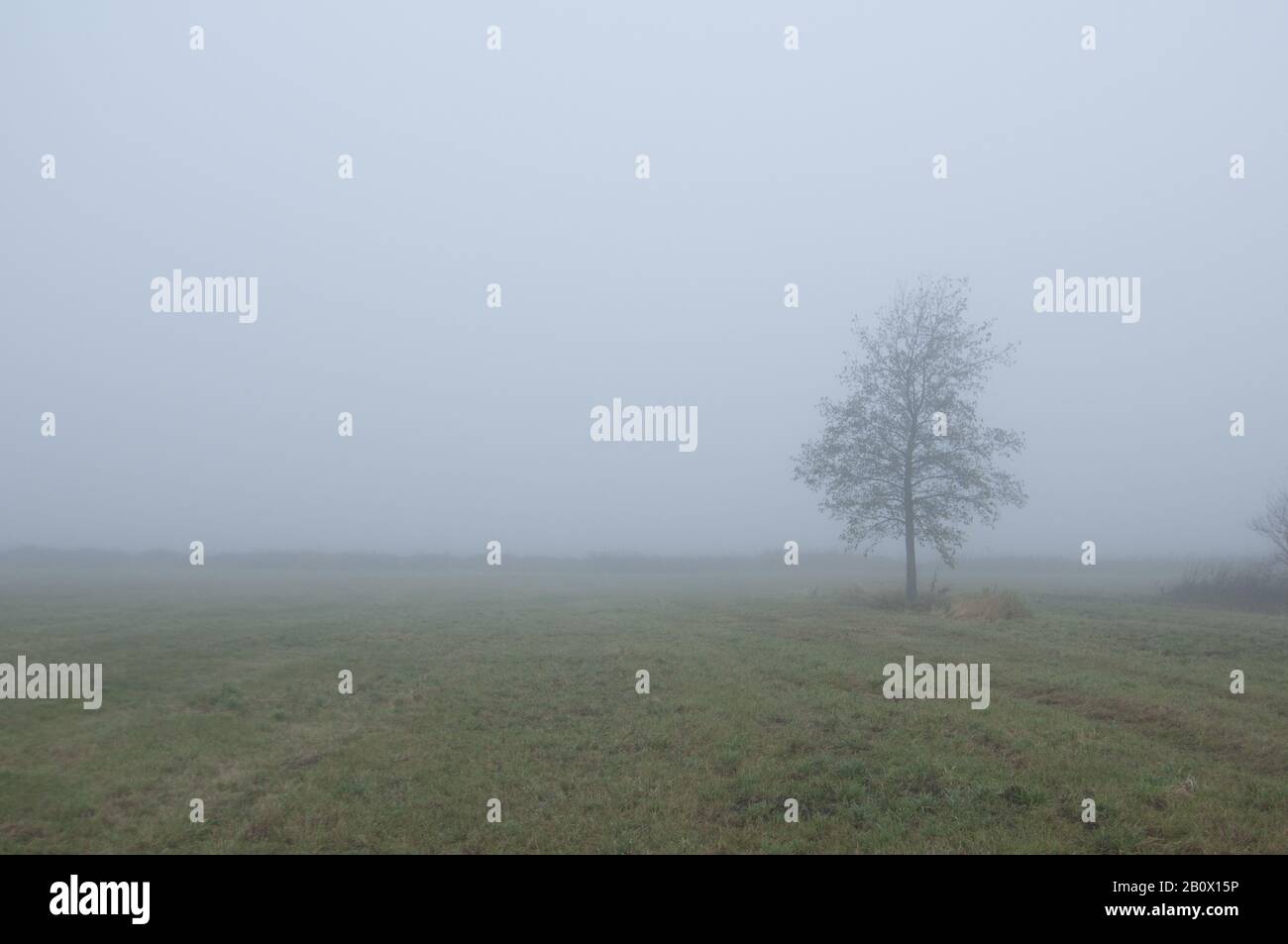 Alone fog one single hi-res stock photography and images - Alamy